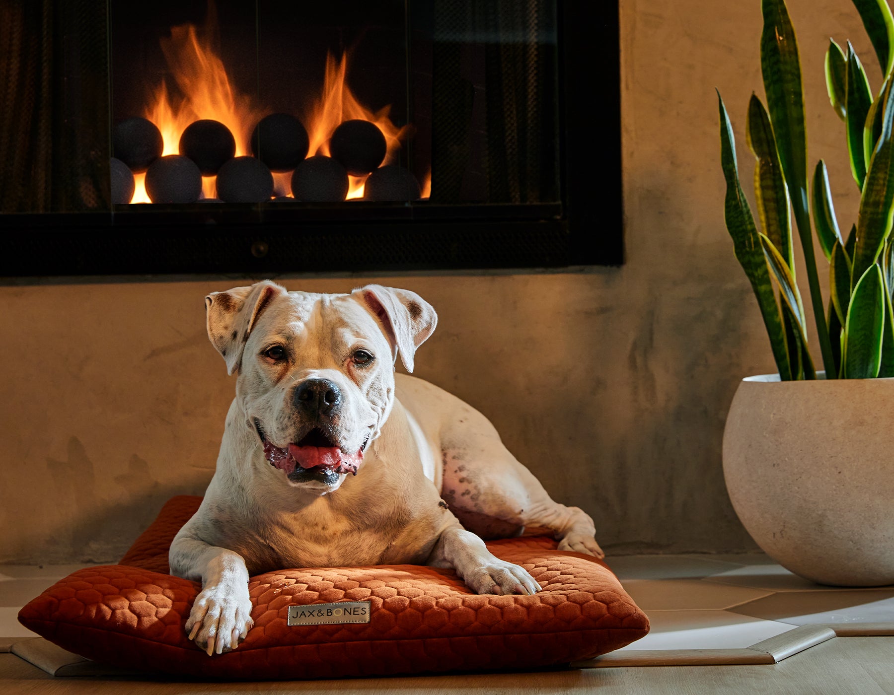 Bumble Terra Cozy Mat – Jax & Bones