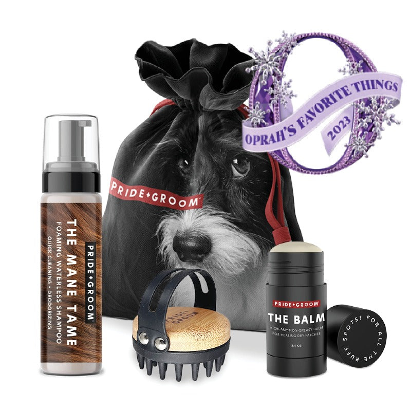 THE TOOL KIT | Complete waterless dog grooming set. Includes foaming s ...